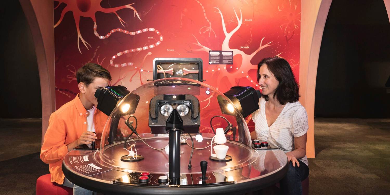 Bydeler og nabolag i Bergen sentrum - visitBergen.com