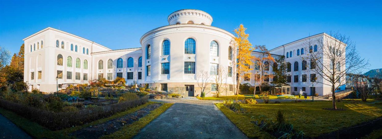 Bydeler og nabolag i Bergen sentrum - visitBergen.com