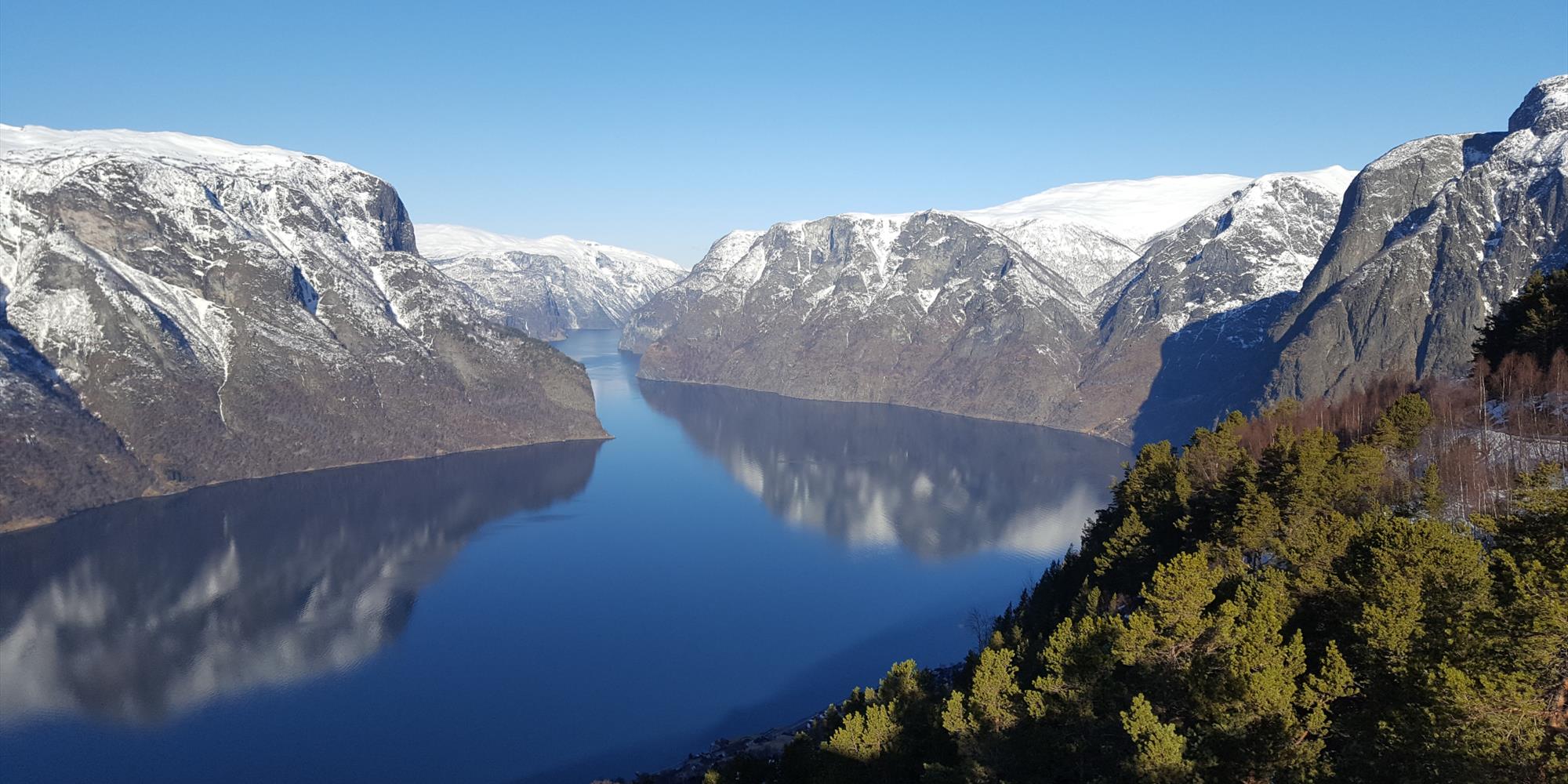 Topp 10 steder for gode bilder i Bergen - visitBergen.com