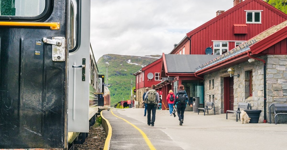 Myrdal Stasjon - visitBergen.com