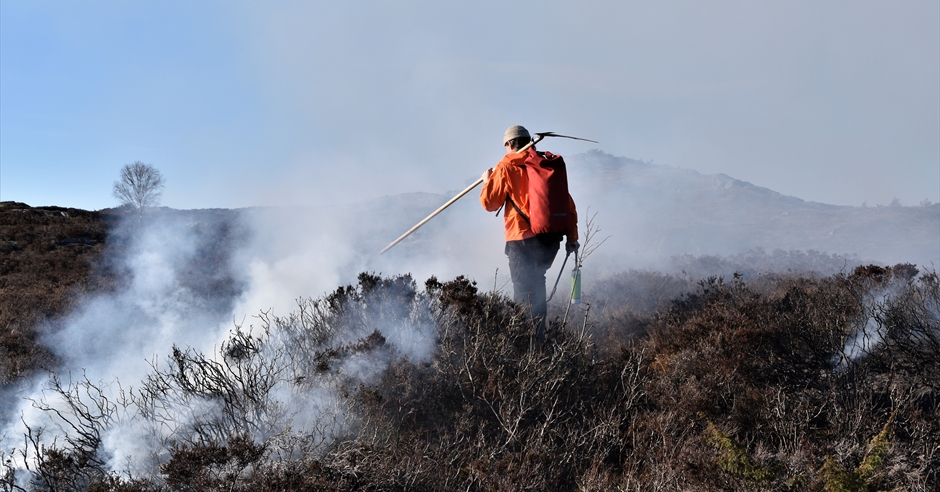 Lyngheisenteret på Lygra - Museumssenteret i Hordaland - visitBergen.com